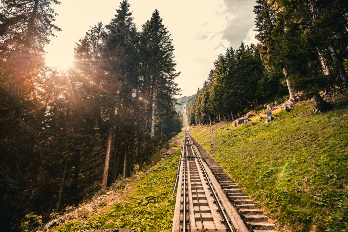 Aktionäre - Niesenbahn